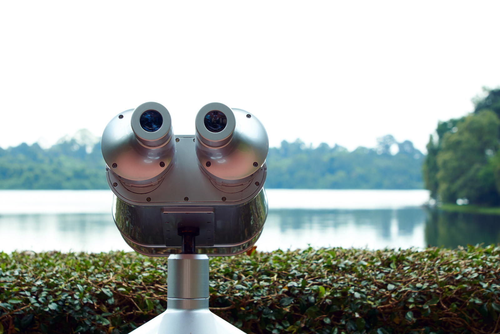 Identifying fraud hot spots | Queensland Audit Office