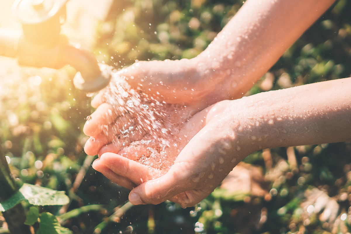 Water: 2018–19 results of financial audits | Queensland Audit Office