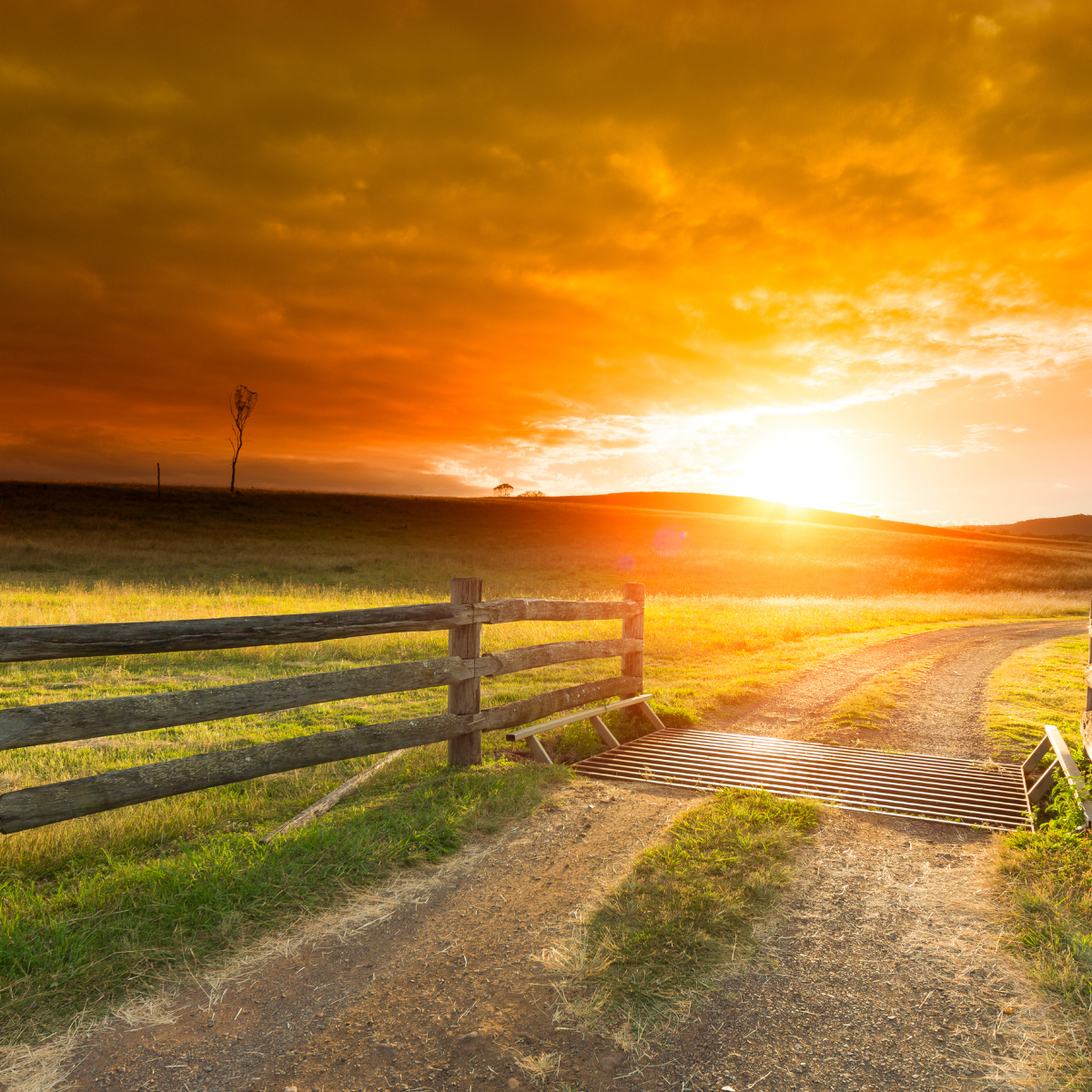 What we learned from an external review of our office | Queensland ...