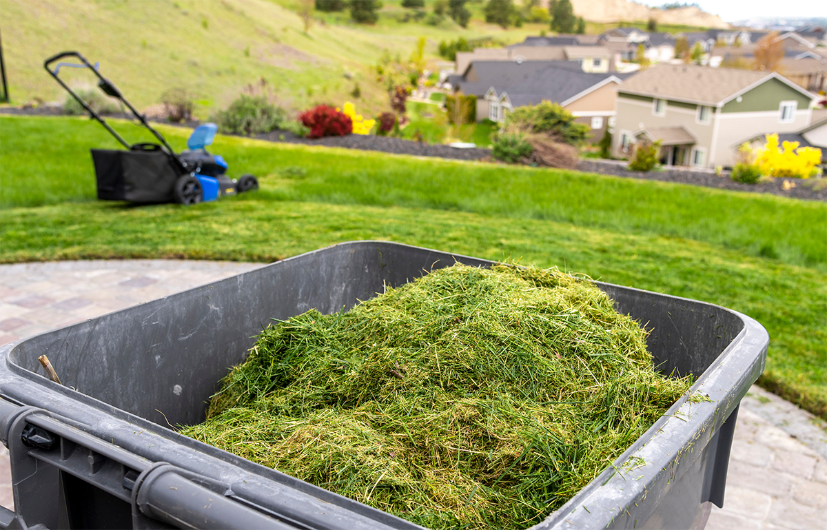 Reducing organic household waste sent to landfill | Queensland Audit Office